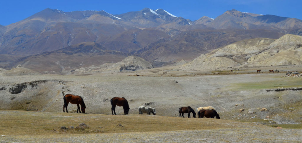 Mustang Region : The hidden kingdom of Nepal